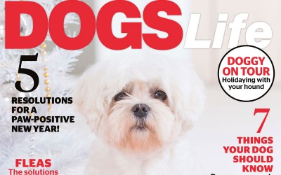 Our summer issue is here!