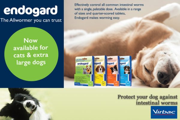 DogsLife - Dog Breeds and Pet Care - Dogslife. Dog Breeds Magazine